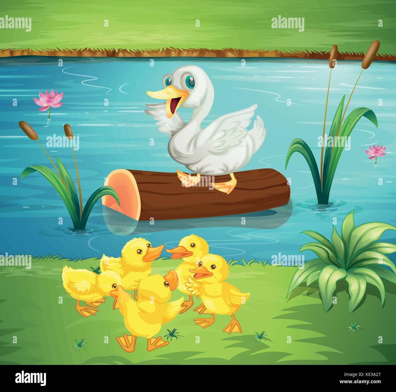 Duck family by the river illustration Stock Vector Image & Art - Alamy