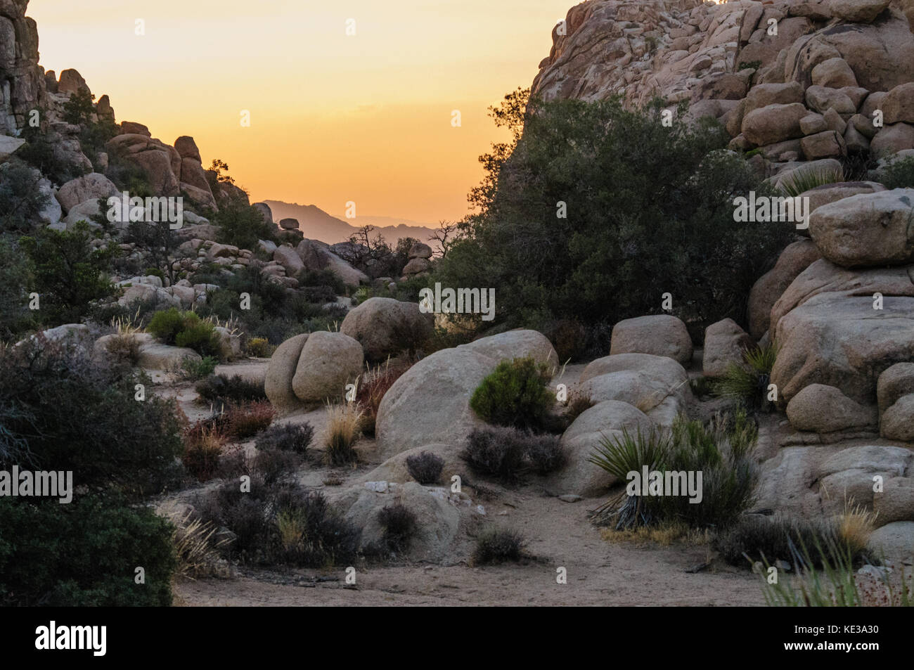 The Hidden Vally Area in Johua Tree National Park Stock Photo - Alamy