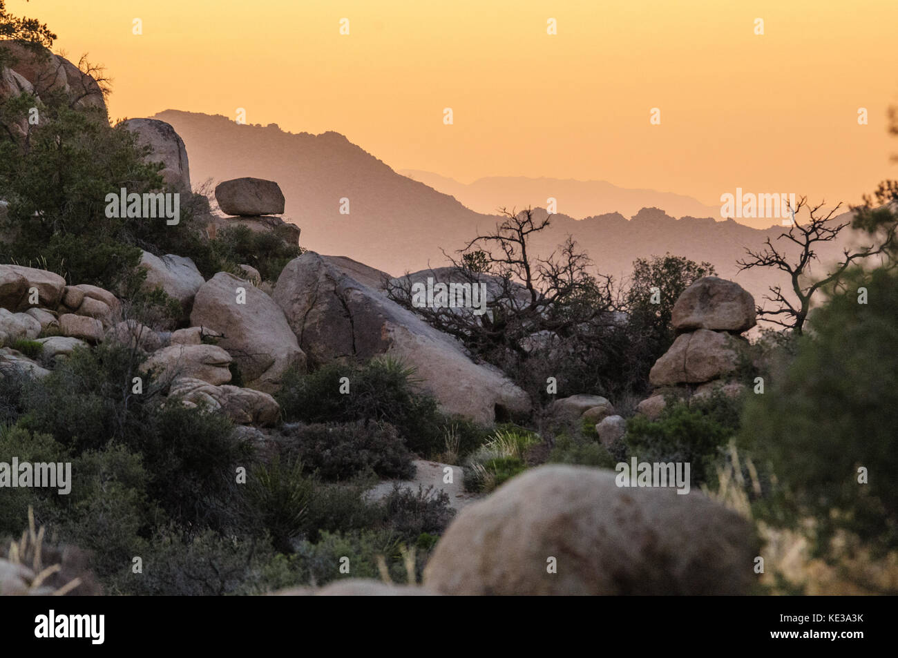 The Hidden Vally Area in Johua Tree National Park Stock Photo - Alamy