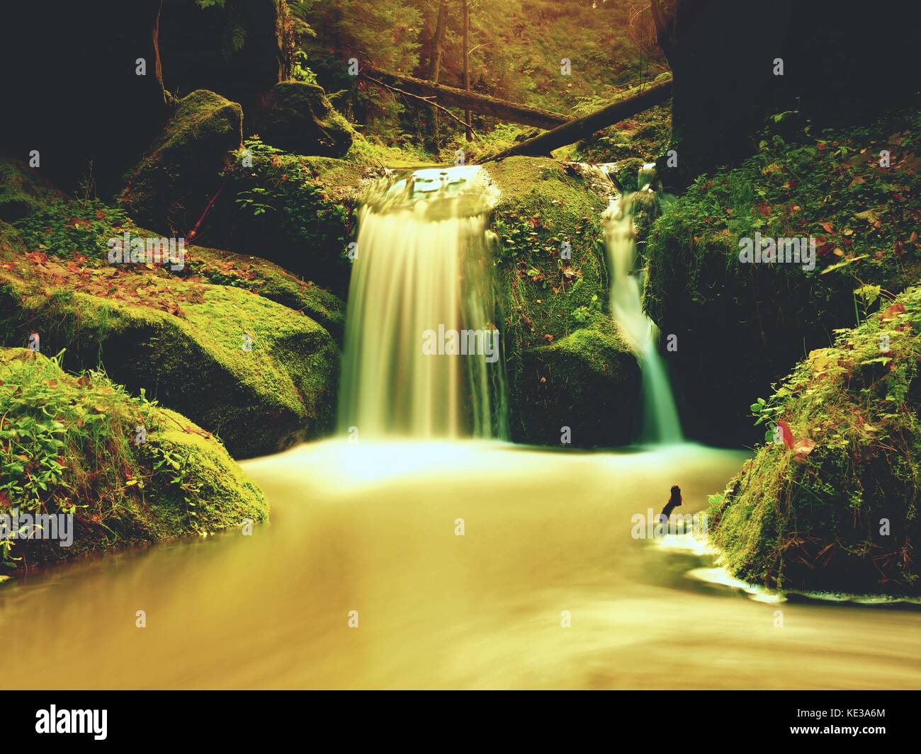 Weir in mountain stream. Colorful leaves on stones into water. Dark ...