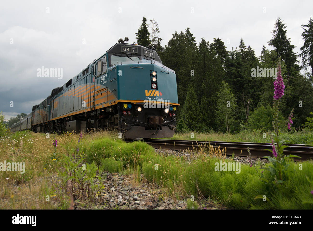 Via rail canada the canadian hi-res stock photography and images - Alamy