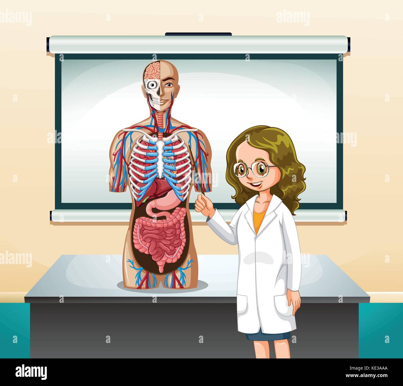 Health classroom Stock Vector Images - Alamy