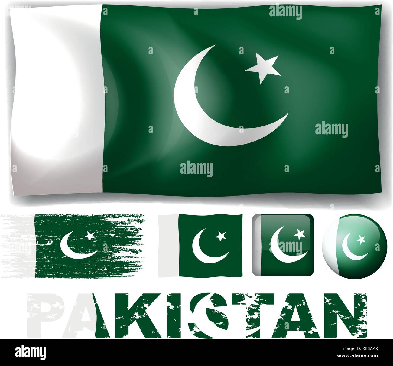 Pakistan flag in different designs illustration Stock Vector Image ...