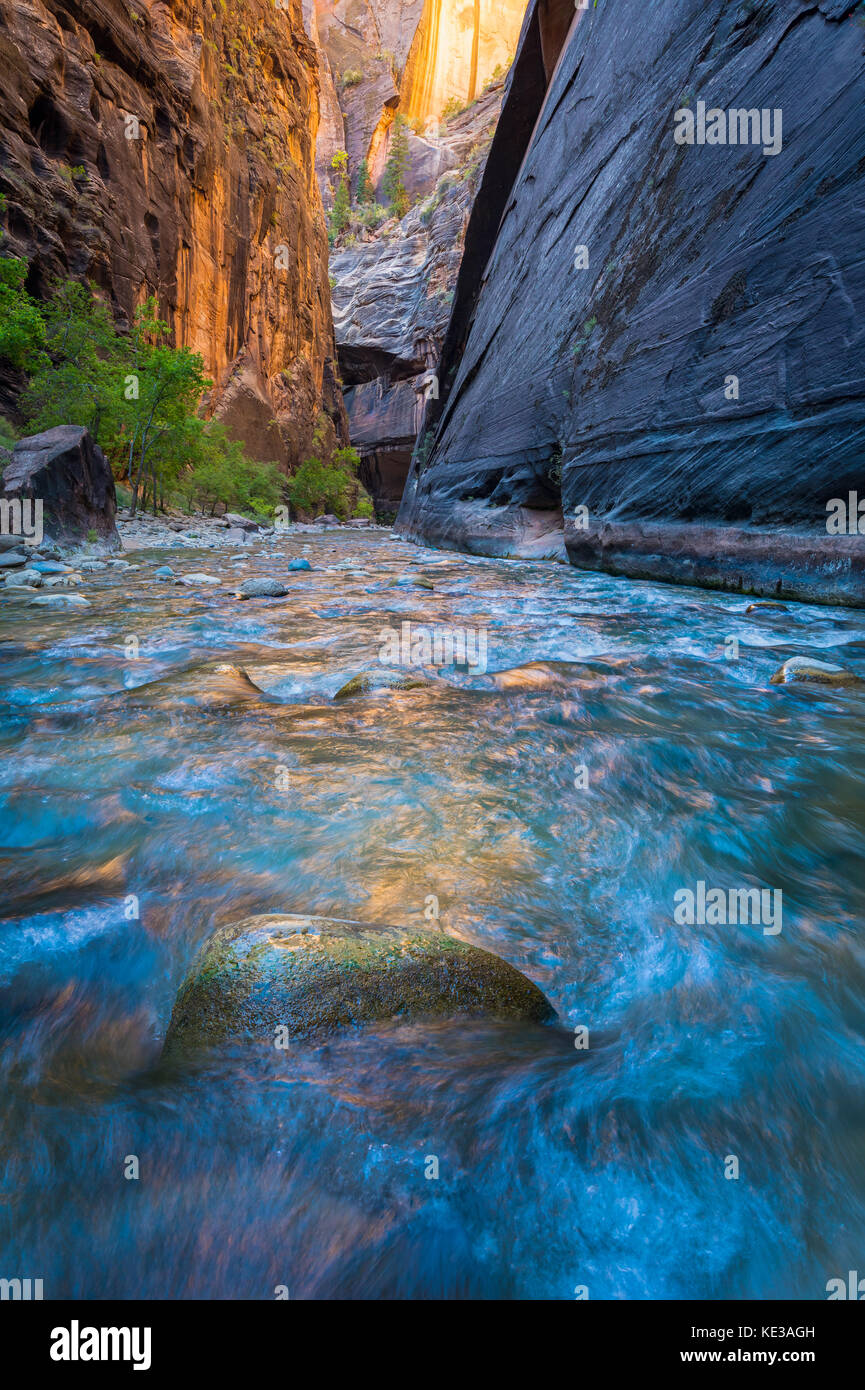 The Narrows in Zion National Park, (near Springdale, Utah) is a section ...