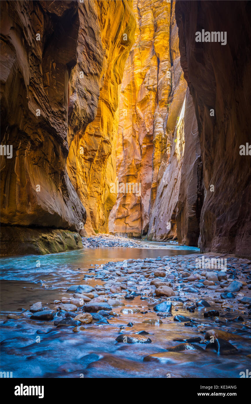 The Narrows in Zion National Park, (near Springdale, Utah) is a section ...