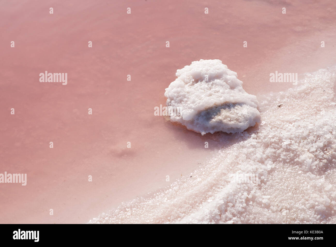 Detail of The Salt Lake at Torrevieja, Alicante, Spain Stock Photo - Alamy
