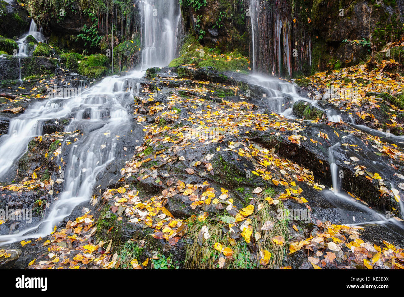 Colourfull leaves covering the ground at the base of a waterfalls in ...