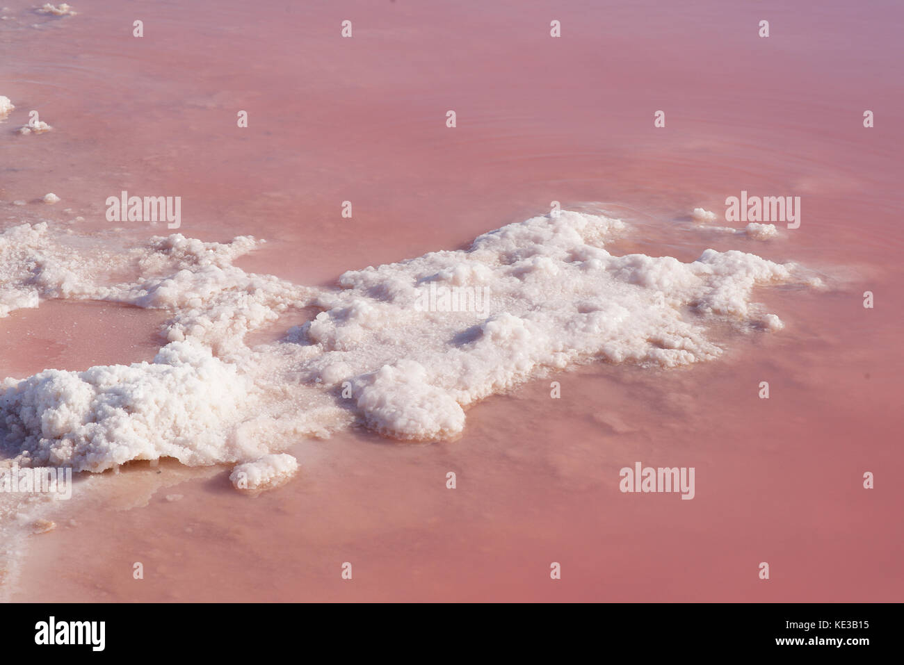 Detail of The Salt Lake at Torrevieja, Alicante, Spain Stock Photo - Alamy