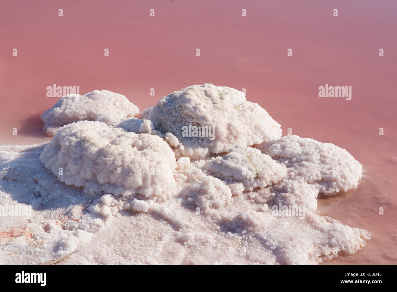 Detail of The Salt Lake at Torrevieja, Alicante, Spain Stock Photo - Alamy