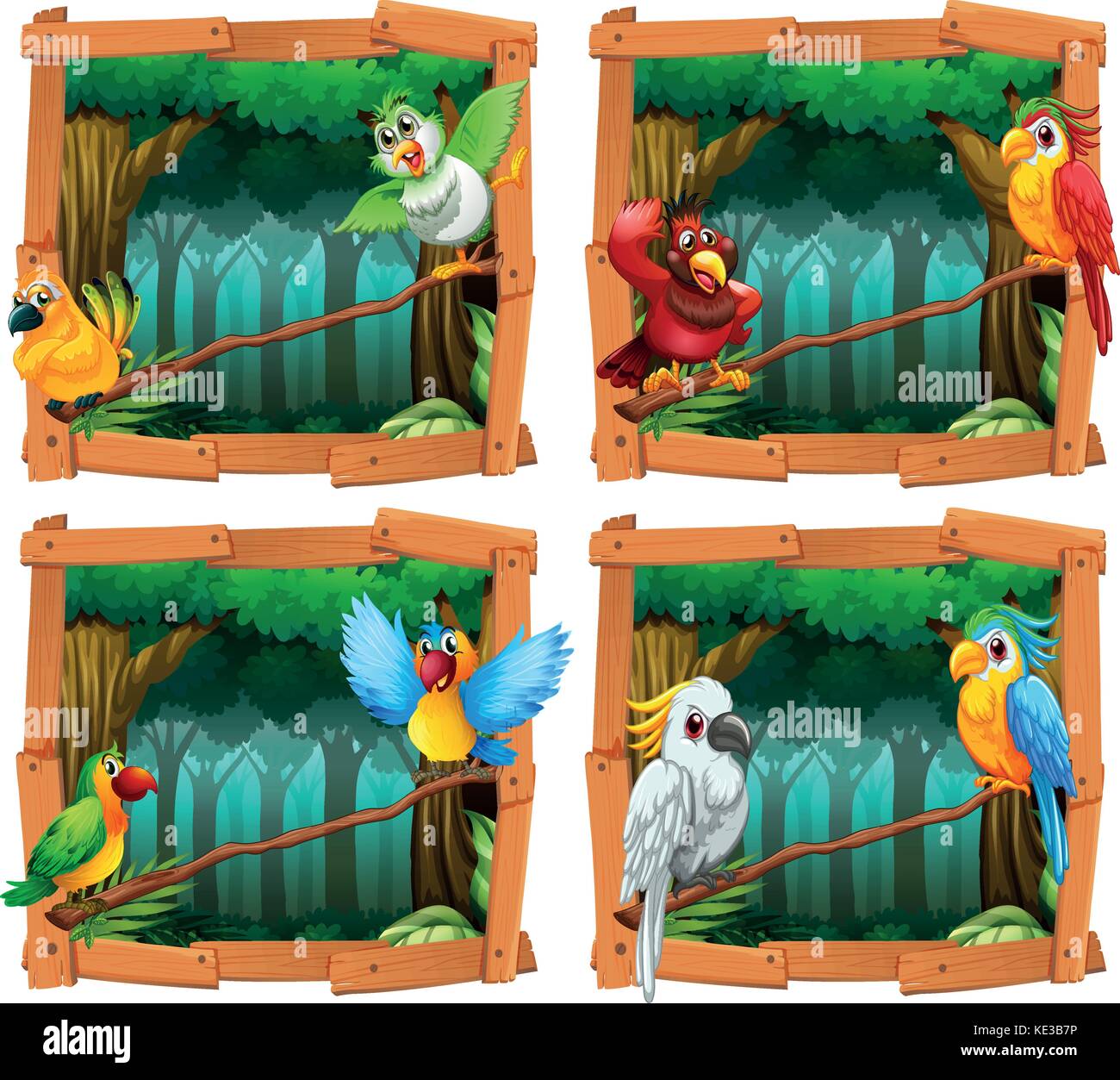 African forest with birds Stock Vector Images - Alamy