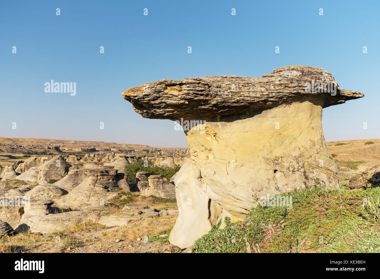 Rock formations and hoodoos at Writing-on-Stone provincial park ...