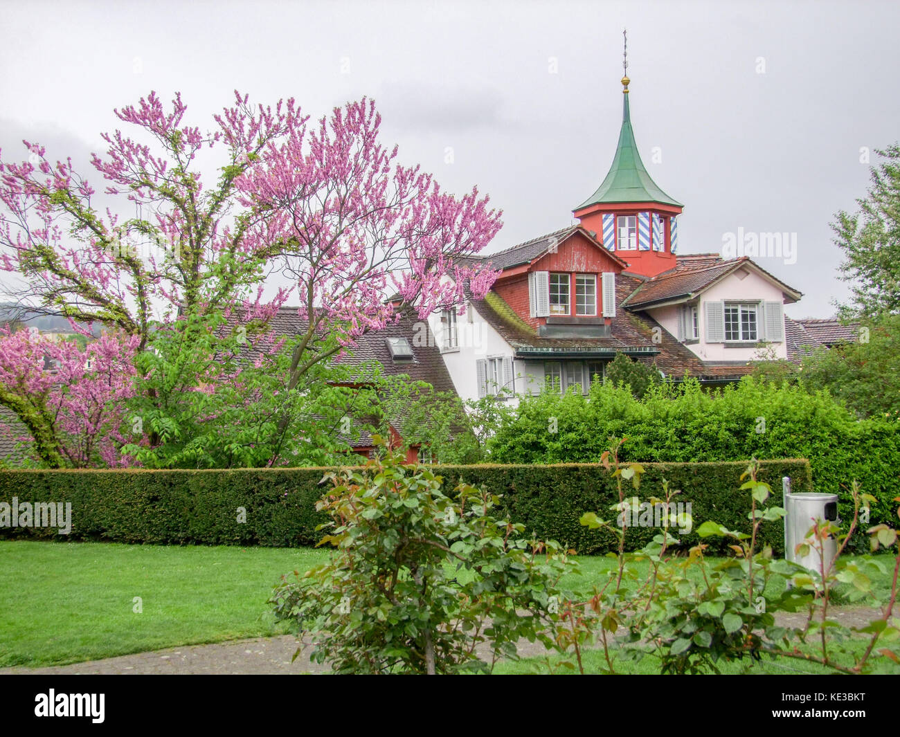 Switzerland zurich park tree hi-res stock photography and images - Alamy