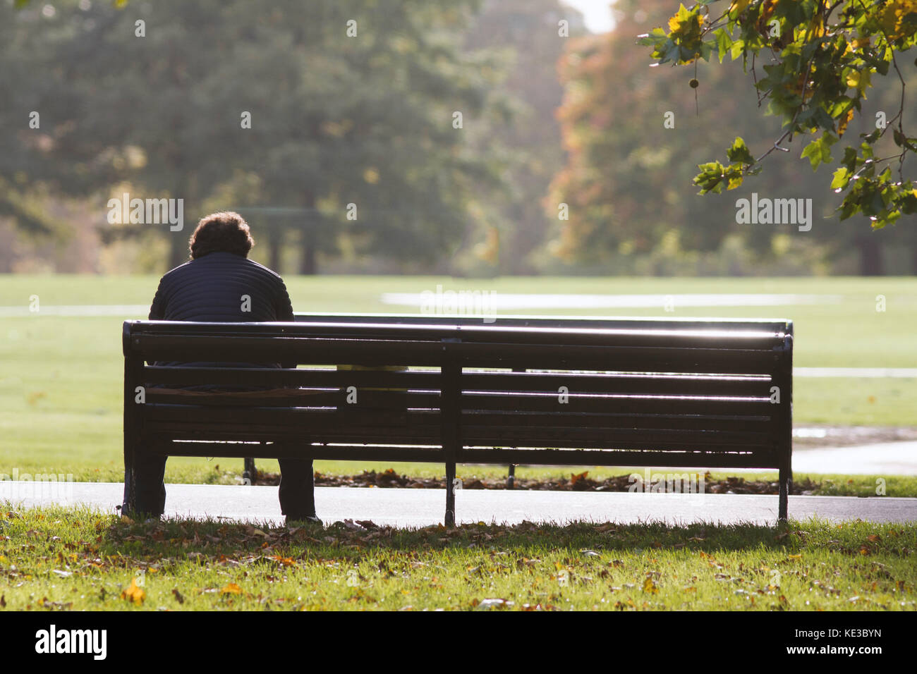 Lonely Bench 1 By 744 Lonely Man On Park Bench Stock Photos, High Res