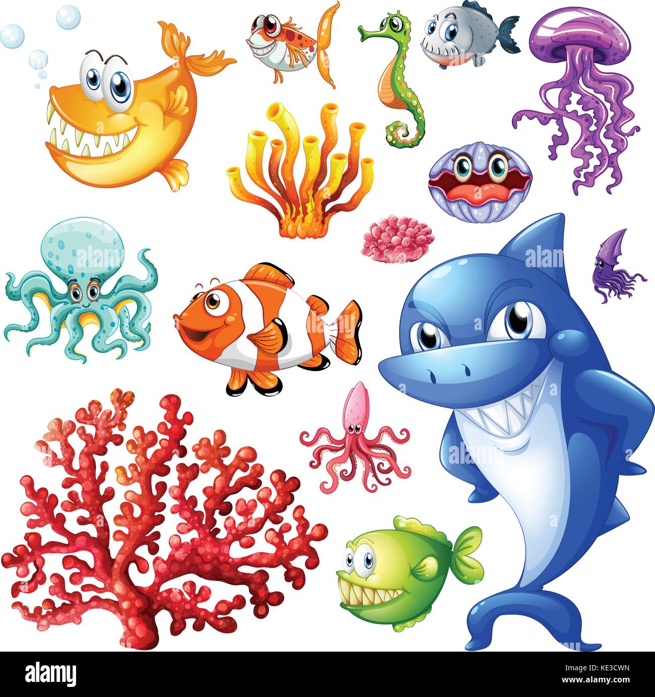 Coral Reef Animals Drawings