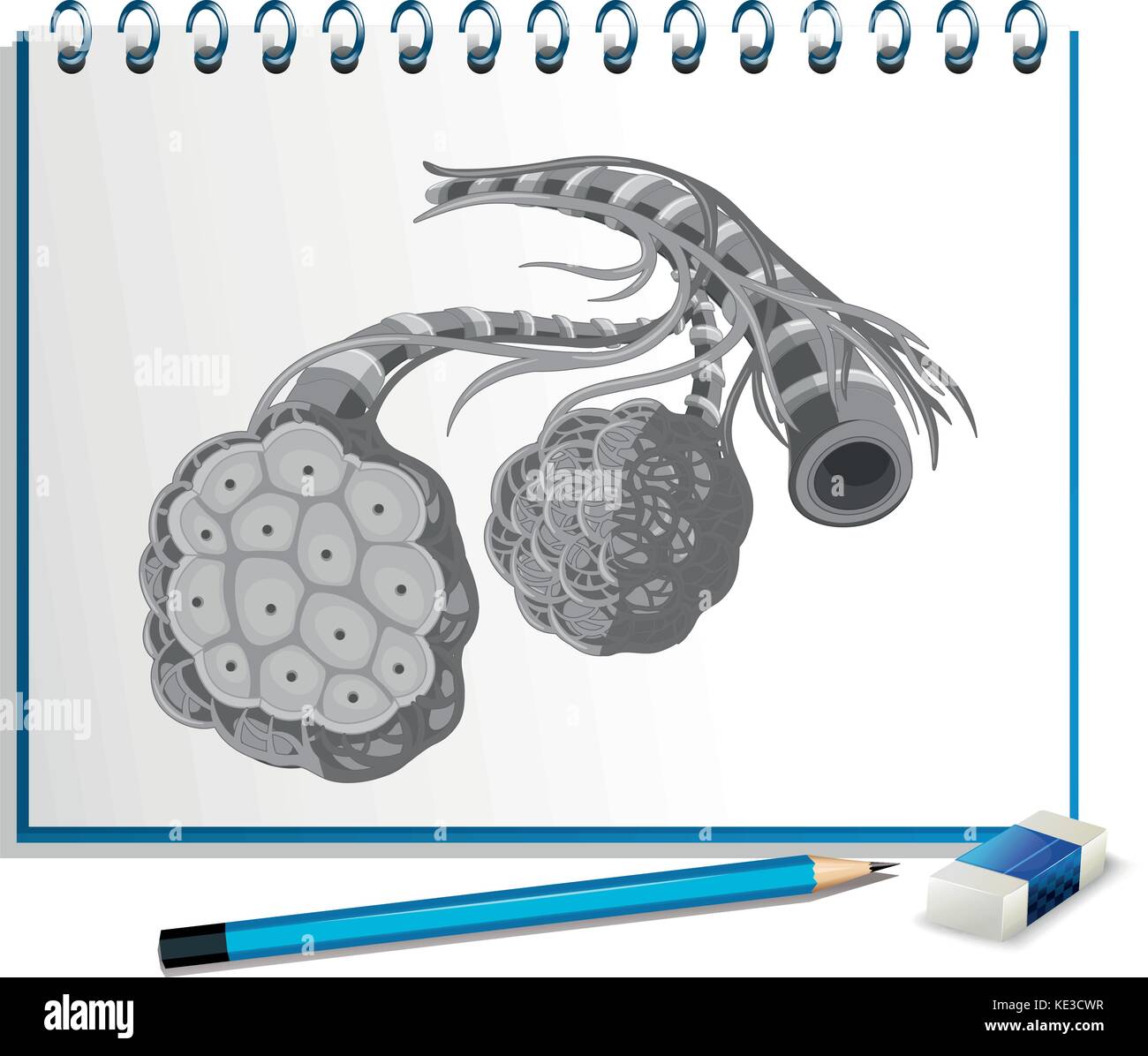 Human organs with cancer on paper illustration Stock Vector Image & Art ...