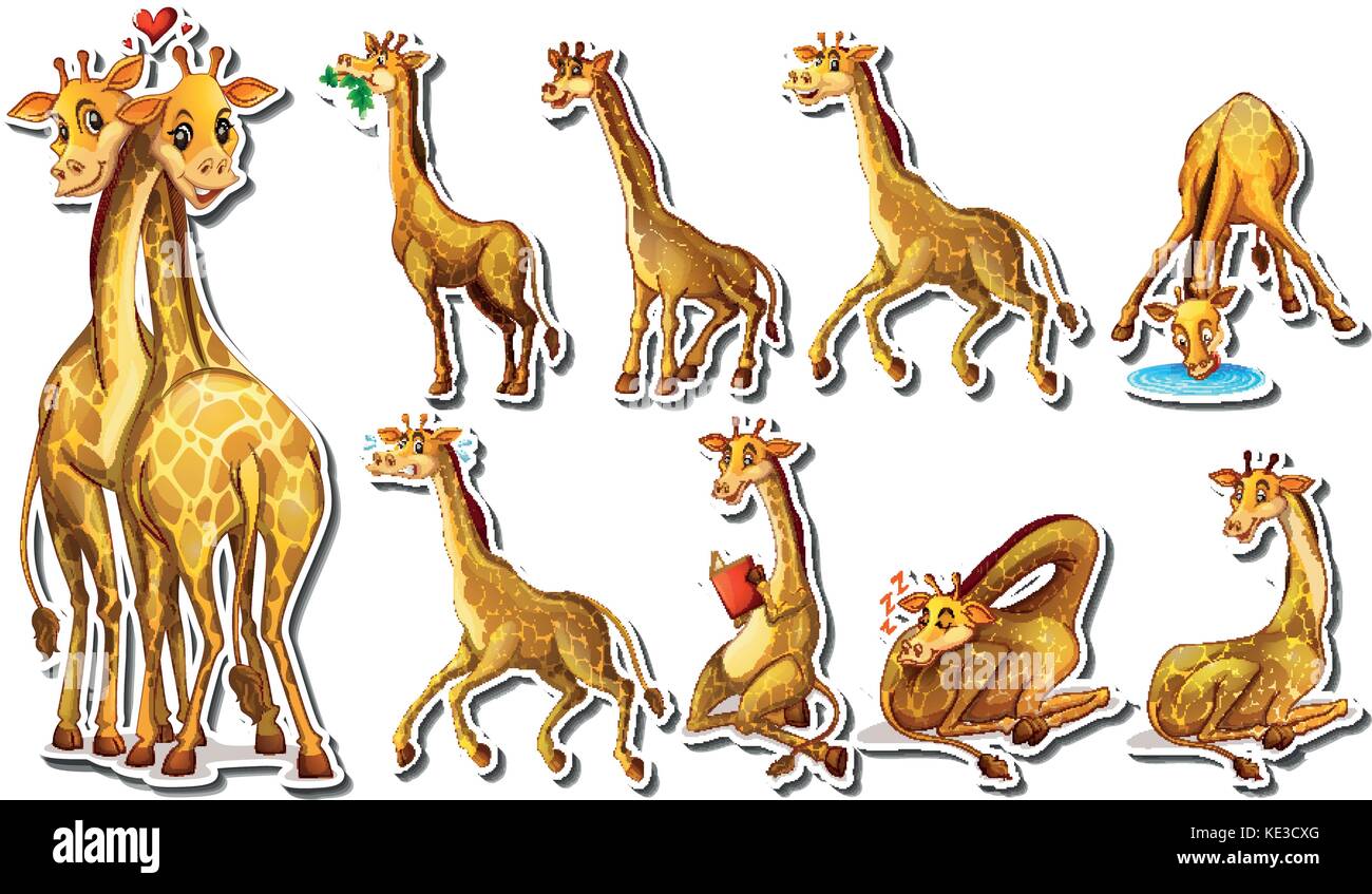 Giraffe sticker hi-res stock photography and images - Alamy