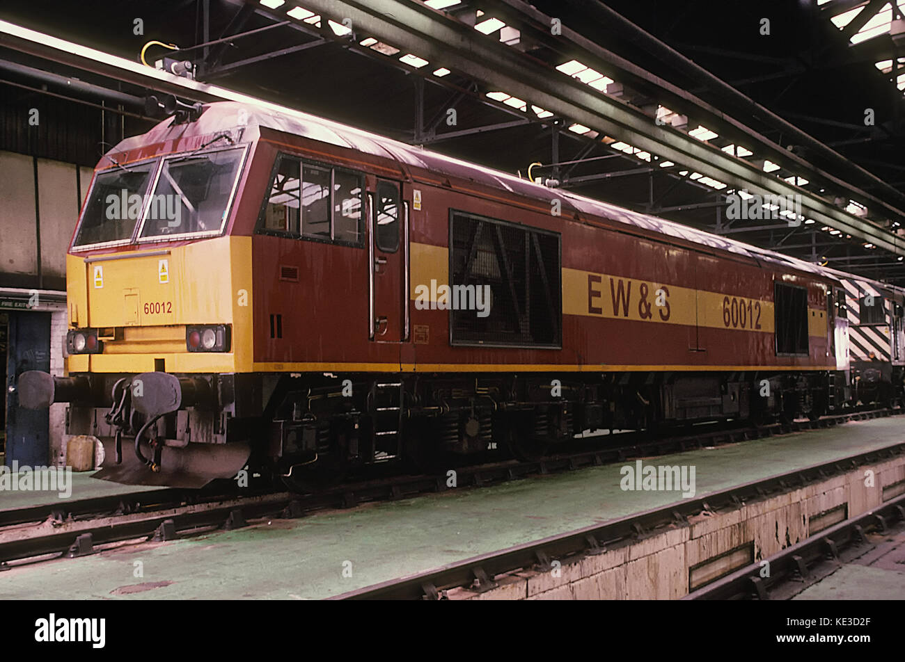 Class 60 locomotive inside Eastleigh Depot in England Stock Photo - Alamy