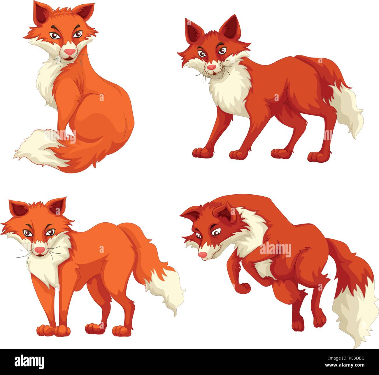 Red foxes cute Cut Out Stock Images & Pictures - Alamy