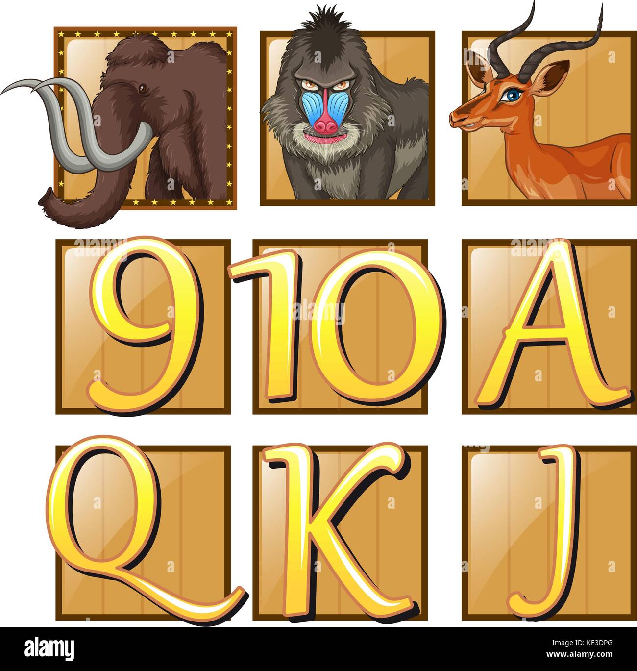 Wild animals on square badge illustration Stock Vector Image & Art - Alamy