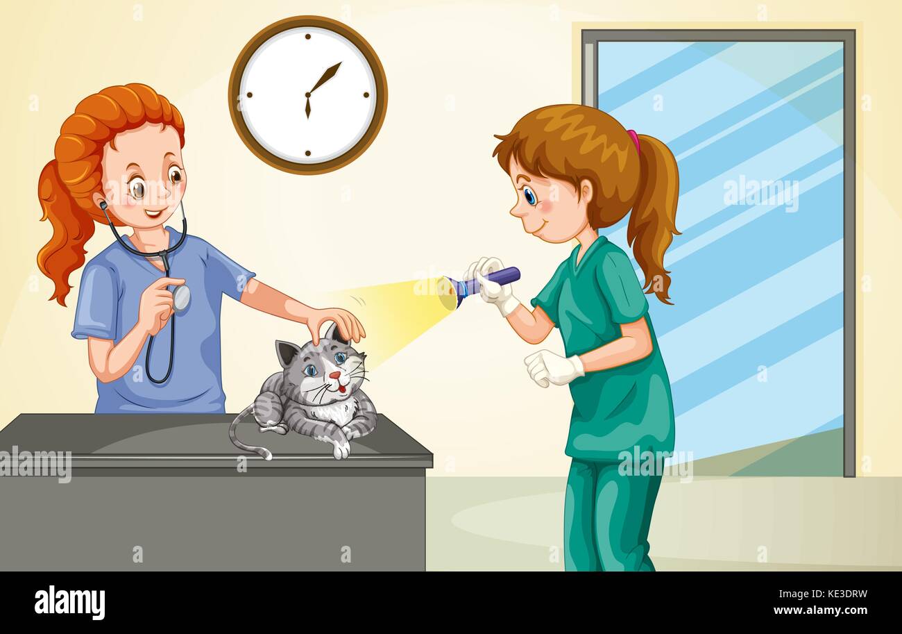 Vet examining little cat illustration Stock Vector Image & Art - Alamy