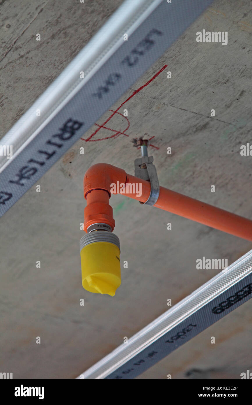 Newly installed fire sprinker system shown during the construction of a ...