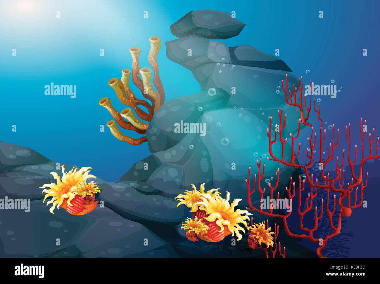 Coral reef underwater Stock Vector Images - Alamy