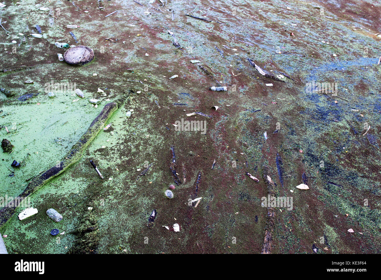 Water pollution. Garbage floating on the surface of the river Stock ...
