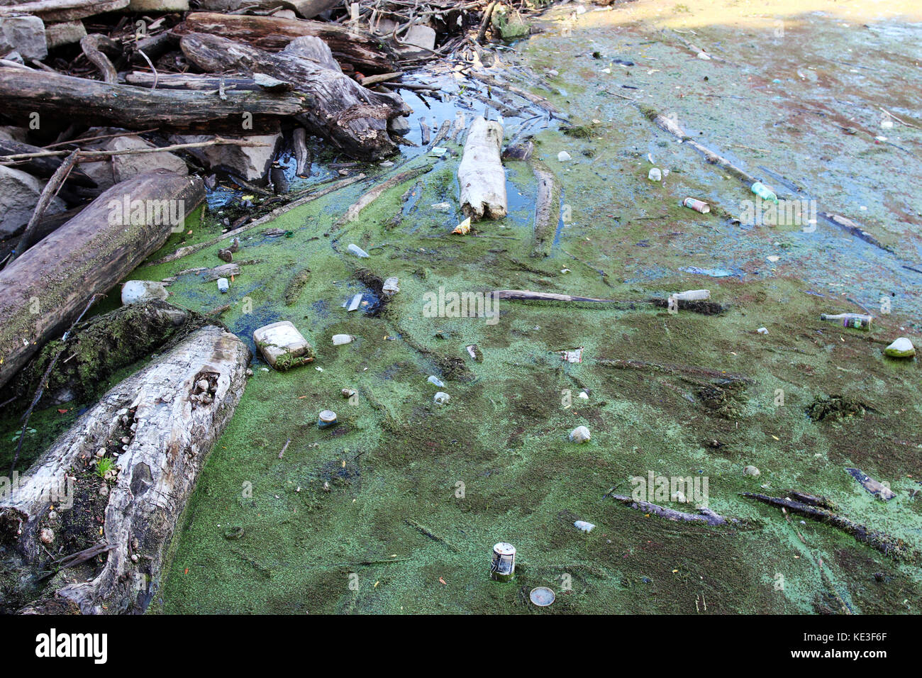 Surface Water Pollution