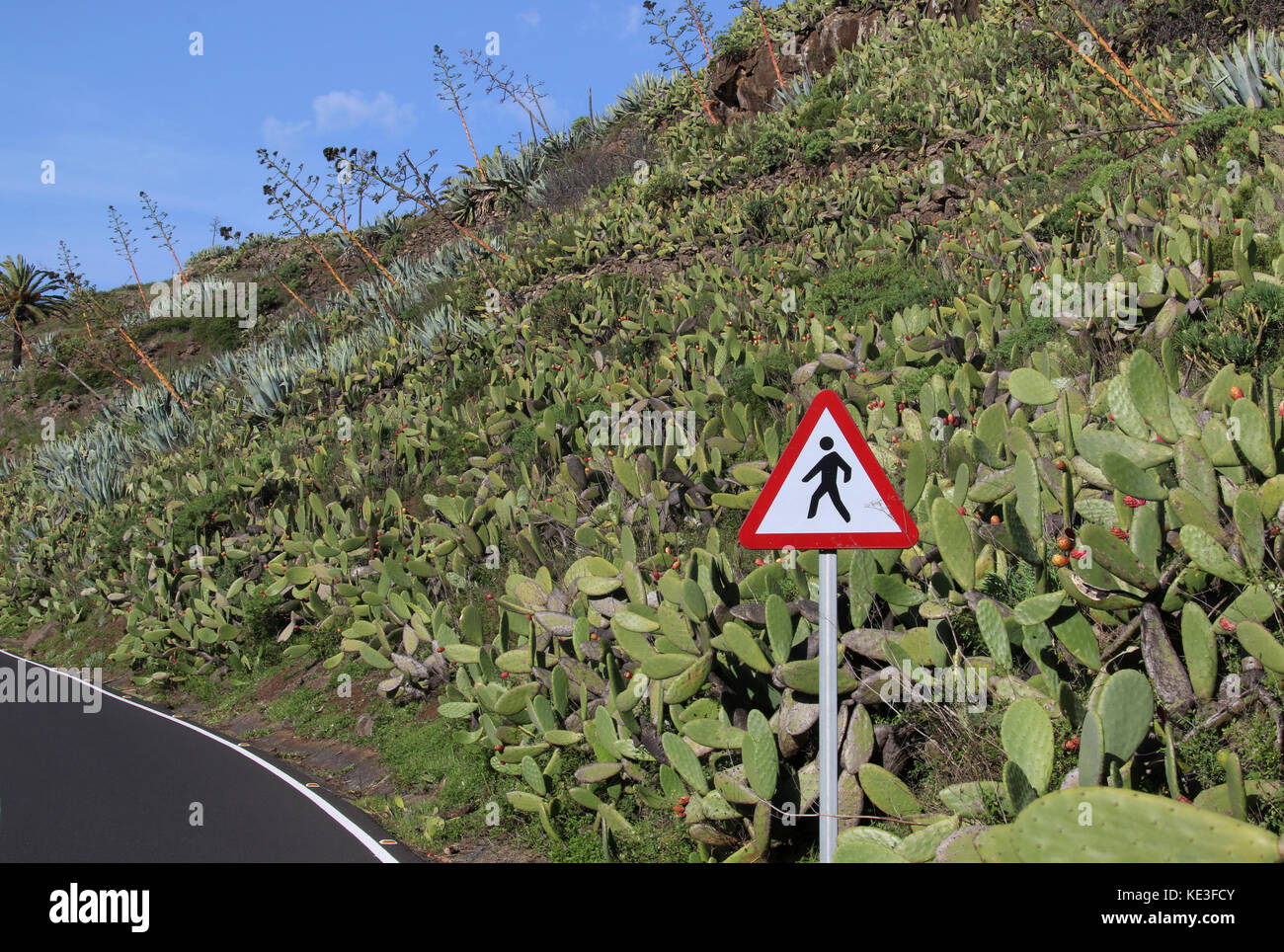 Cactus Warning Sign Stock Photo - Alamy