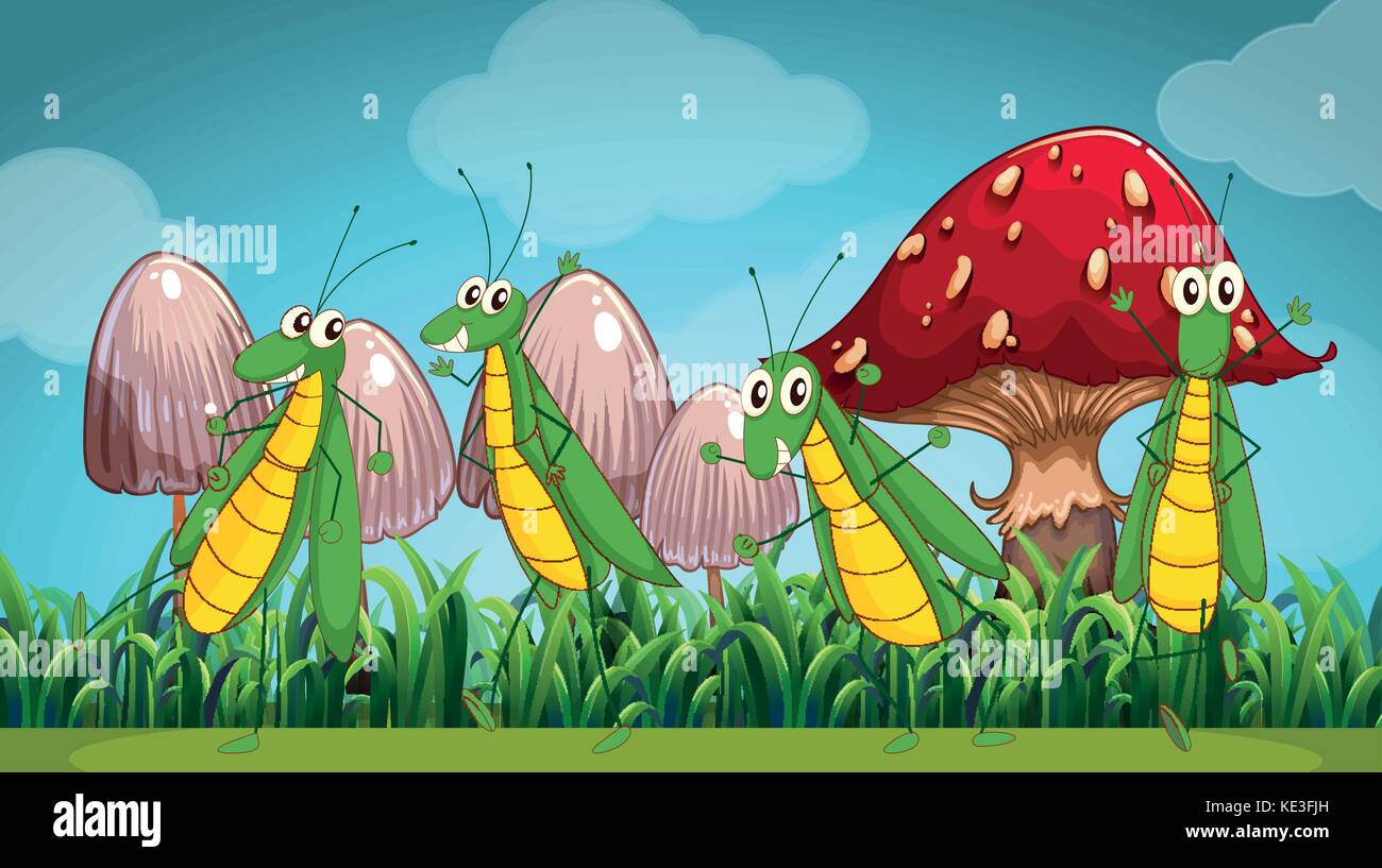 Carnivorous plant grasshopper hi-res stock photography and images - Alamy