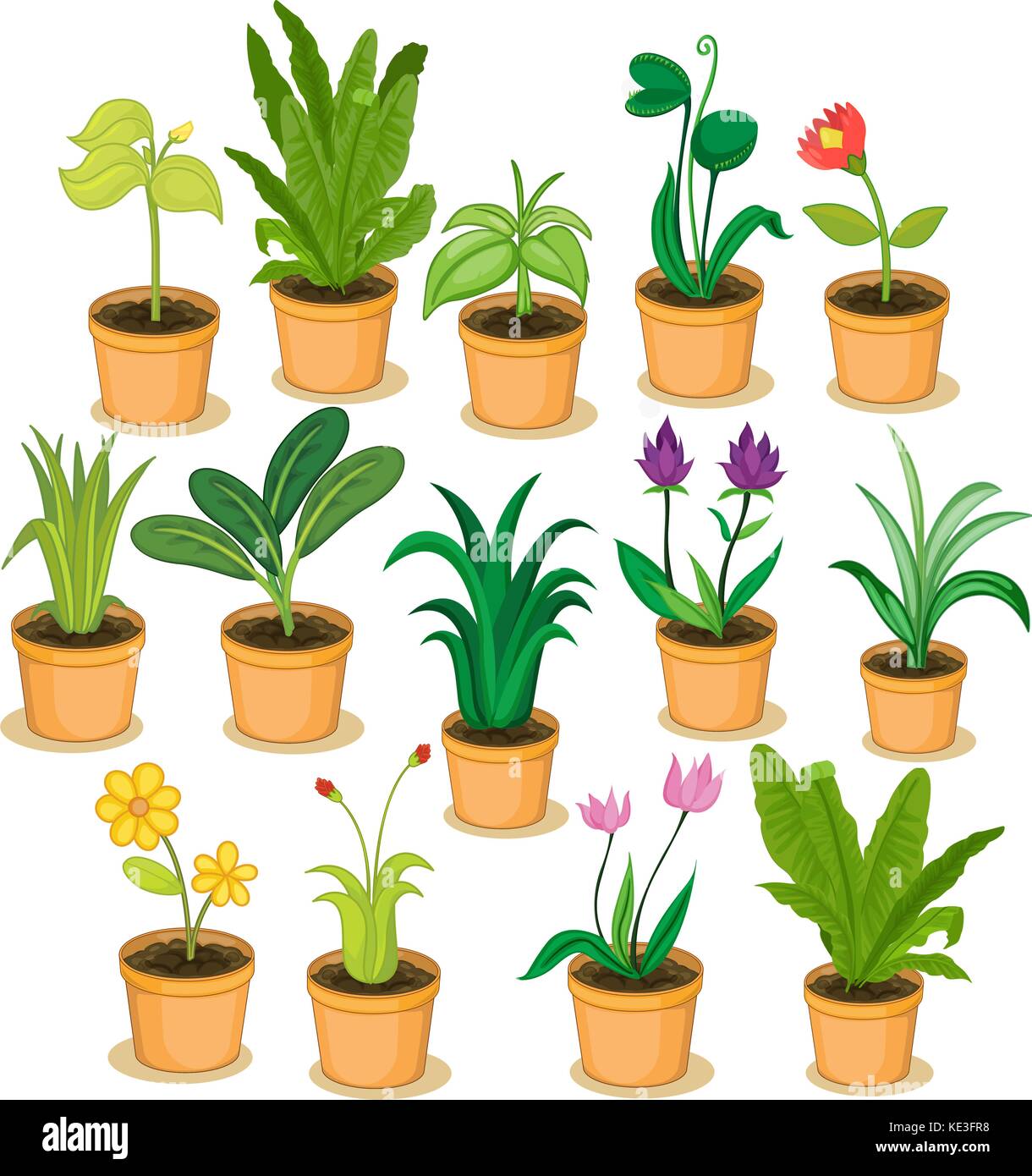 Ceramic potted plants Stock Vector Images - Alamy