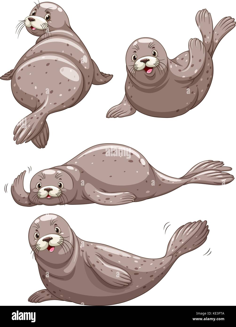 Many seals Stock Vector Images - Alamy
