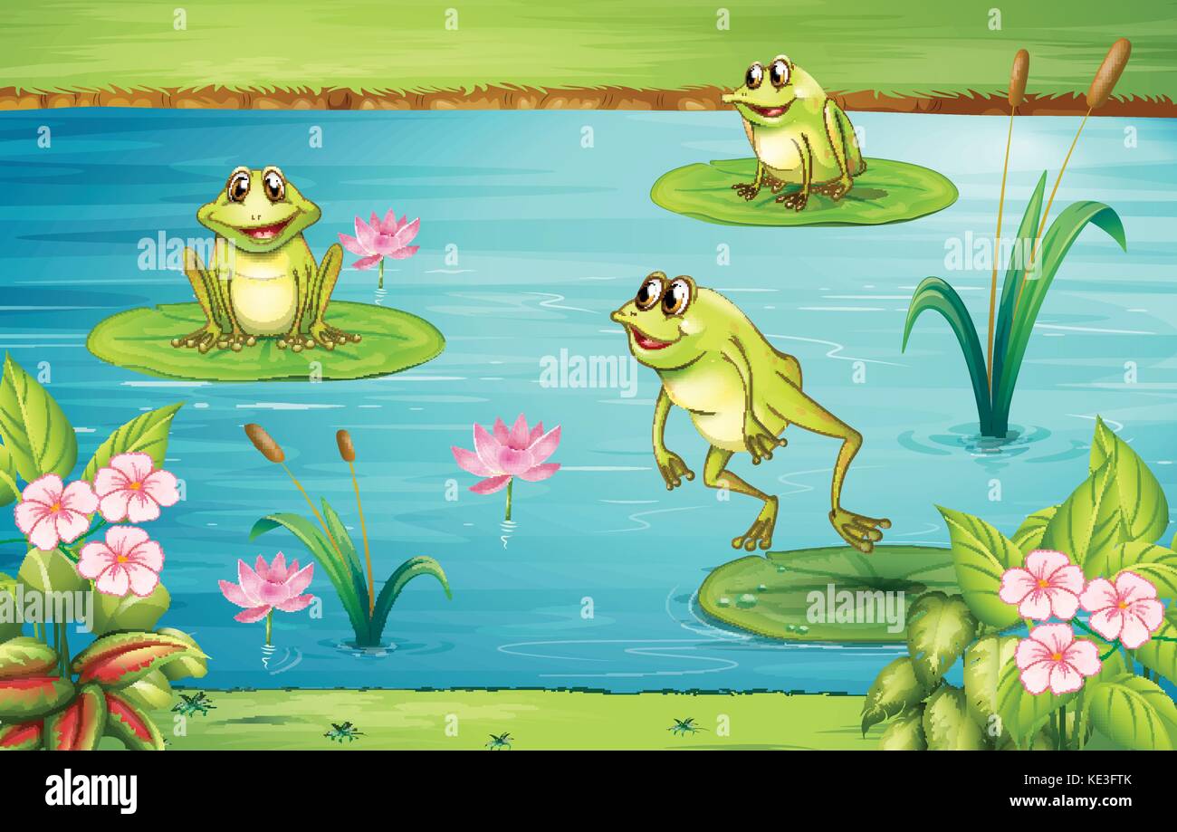 Three frogs living in the pond illustration Stock Vector Image & Art ...