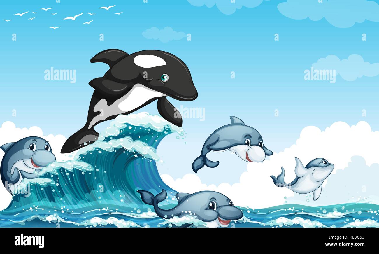 Cartoon dolphin swimming in ocean hi-res stock photography and images ...