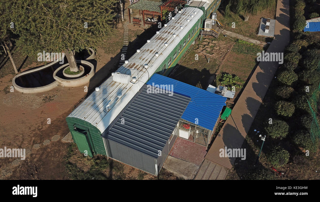 Two carriages of a green train can be seen in the forest at a port in ...