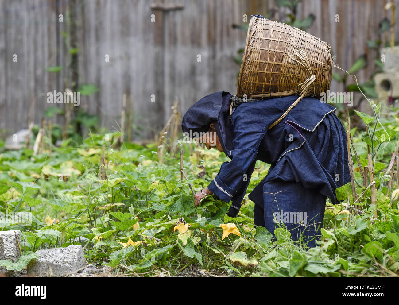 The Heiyizhuang, also known as Black-clothes Zhuang, is a traditional ...