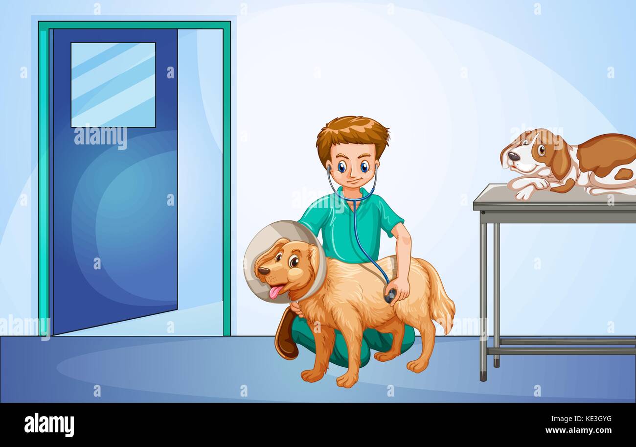 Vet healing dog at the hospital illustration Stock Vector Image & Art ...