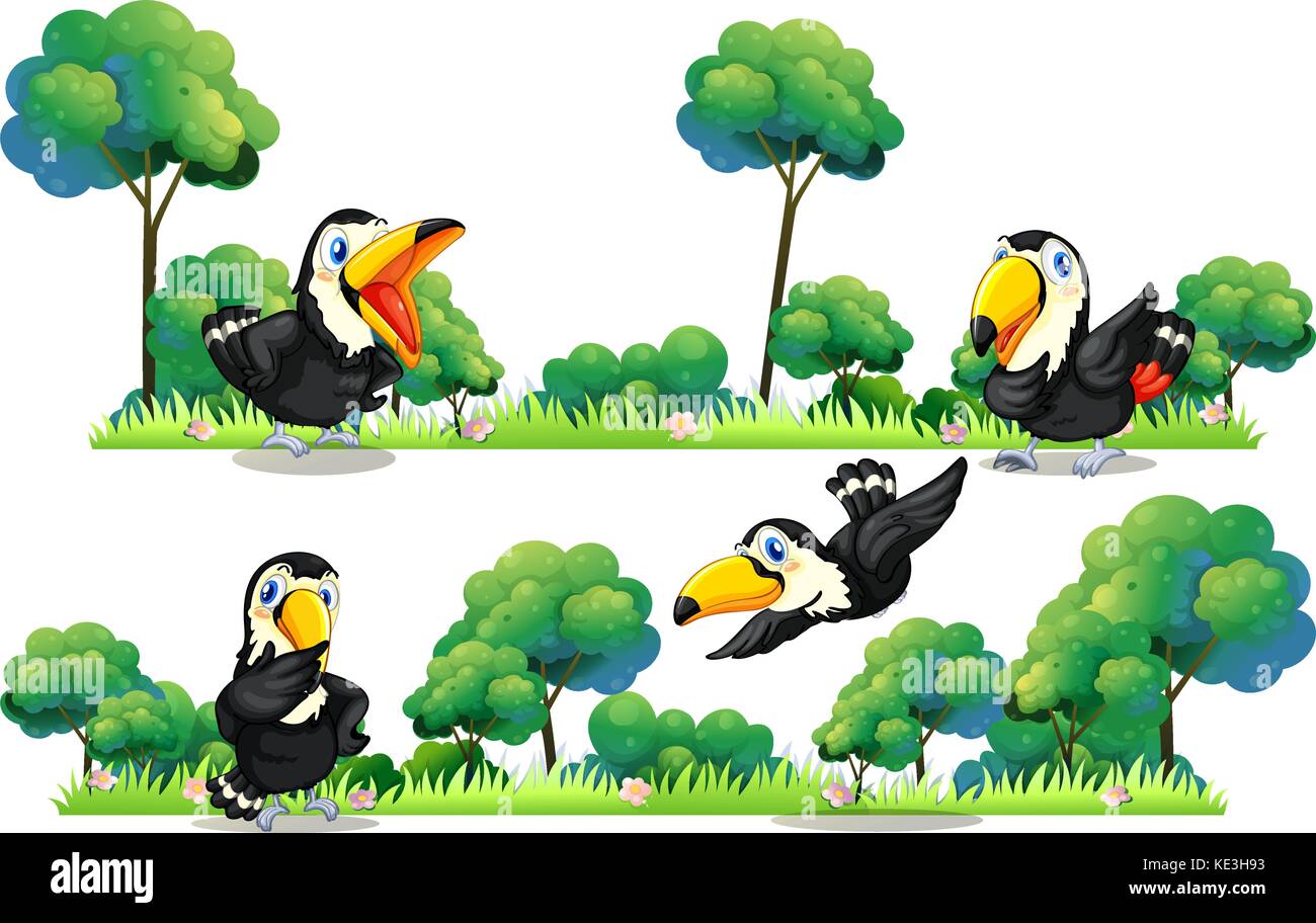 Toucans flying in the garden illustration Stock Vector Image & Art - Alamy