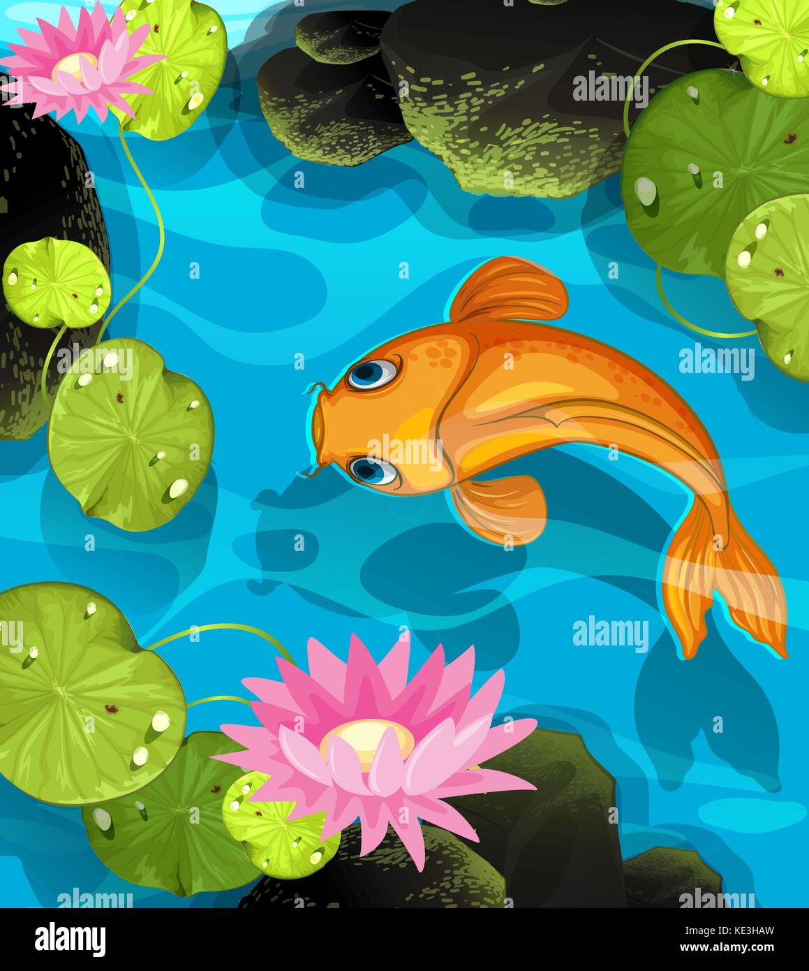 Koi swimming in the lotus pool illustration Stock Vector Image & Art ...