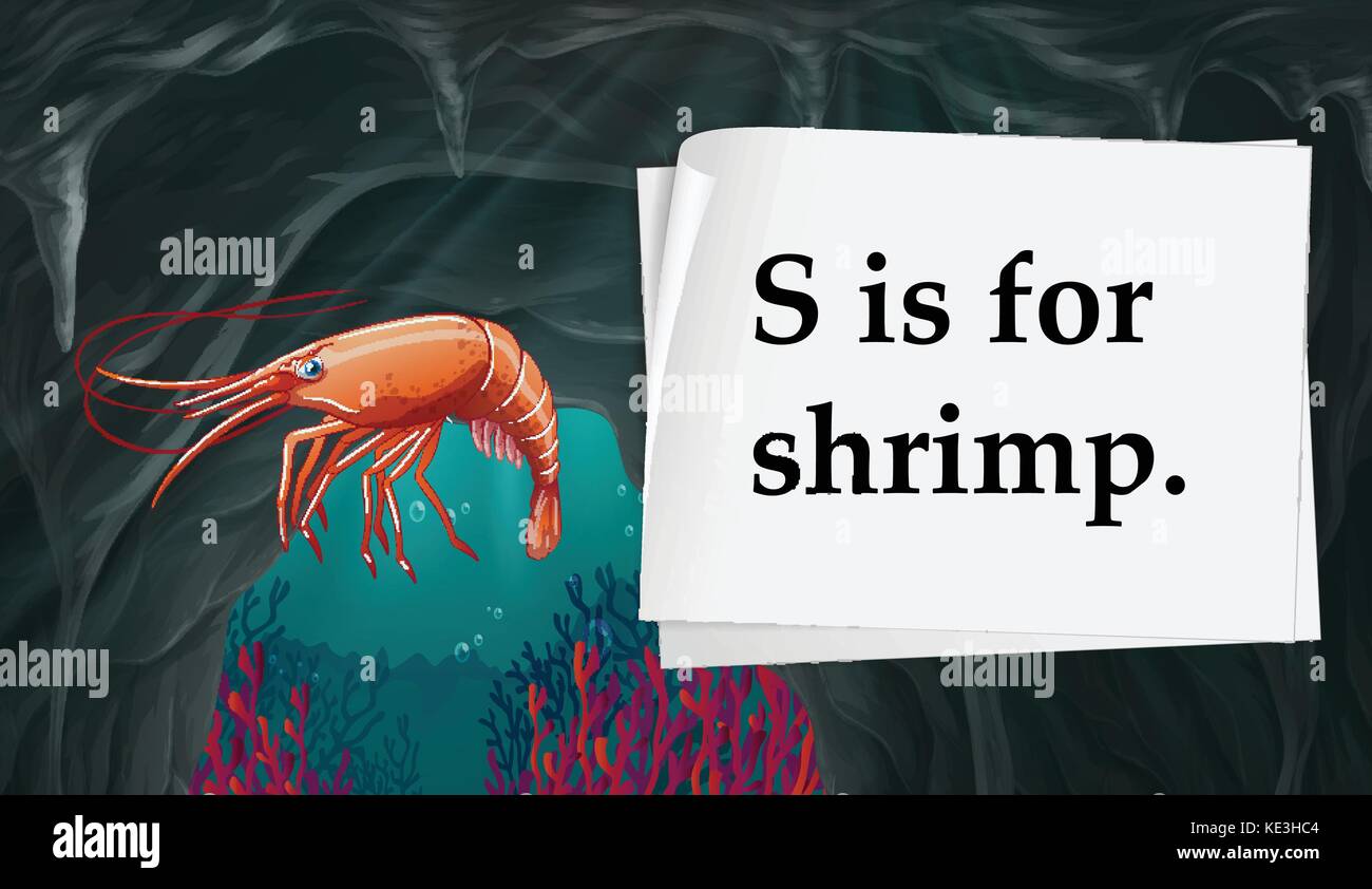 Letter S is for shrimp illustration Stock Vector Image & Art - Alamy
