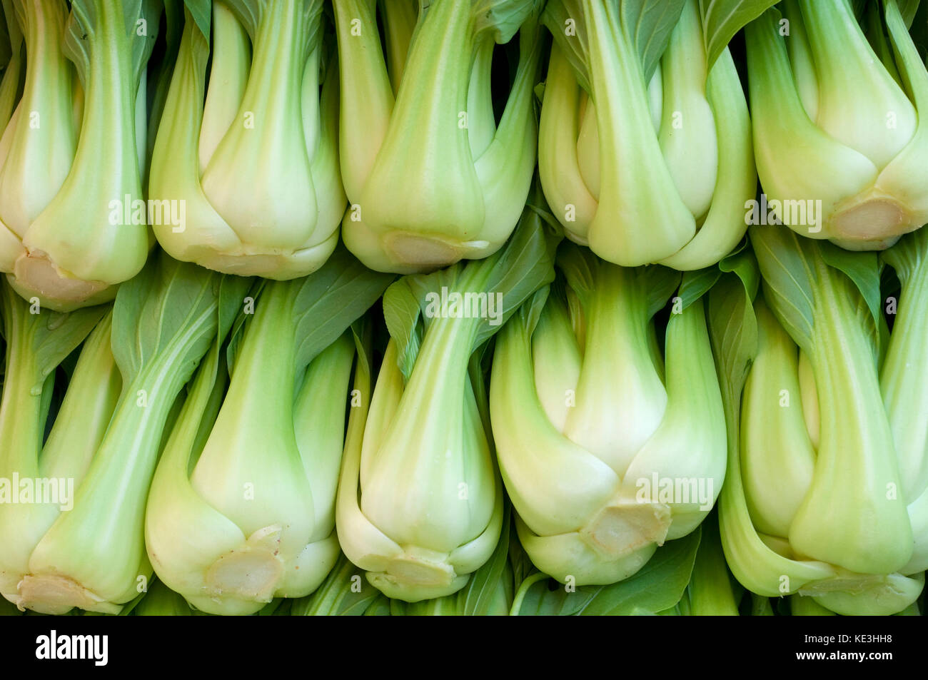 Chard vegetables hi-res stock photography and images - Alamy