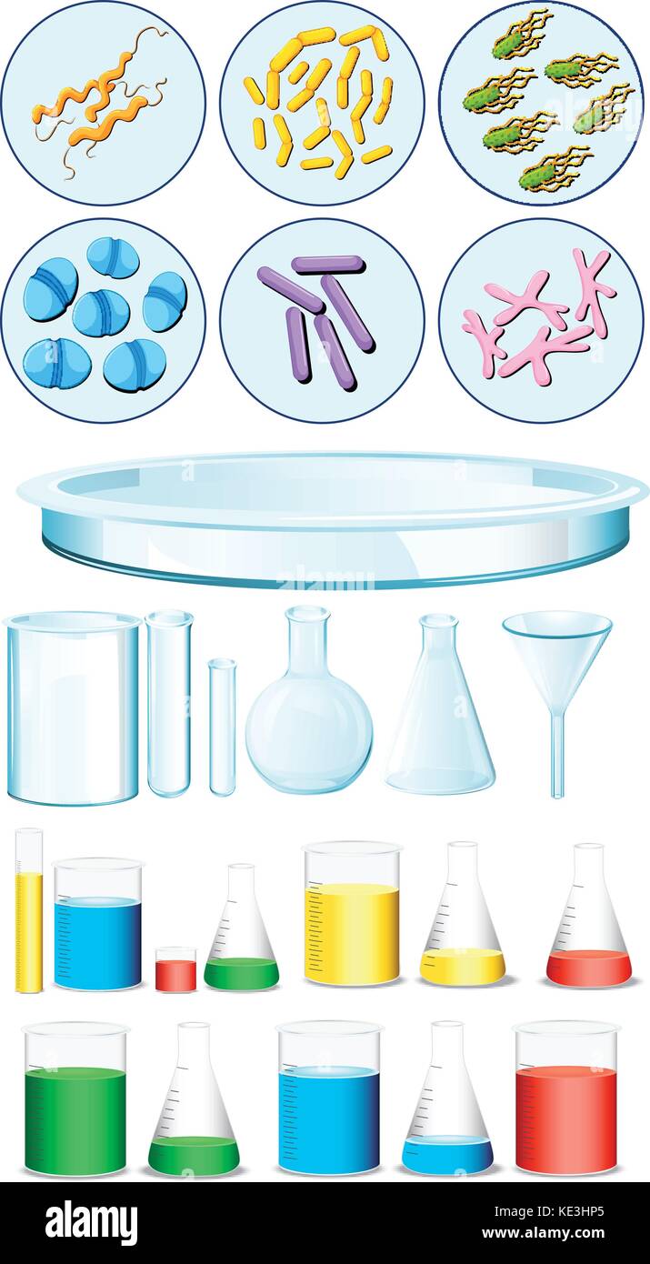 Set of science containers and bacteria on tray illustration Stock ...