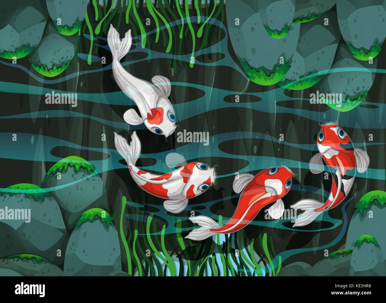 Koi fish swimming in pond Stock Vector Images - Alamy