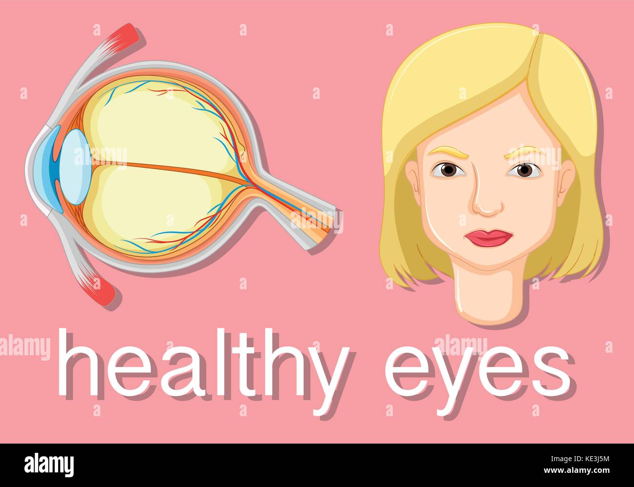 Diagram showing illness in human eye illustration Stock Vector Image ...