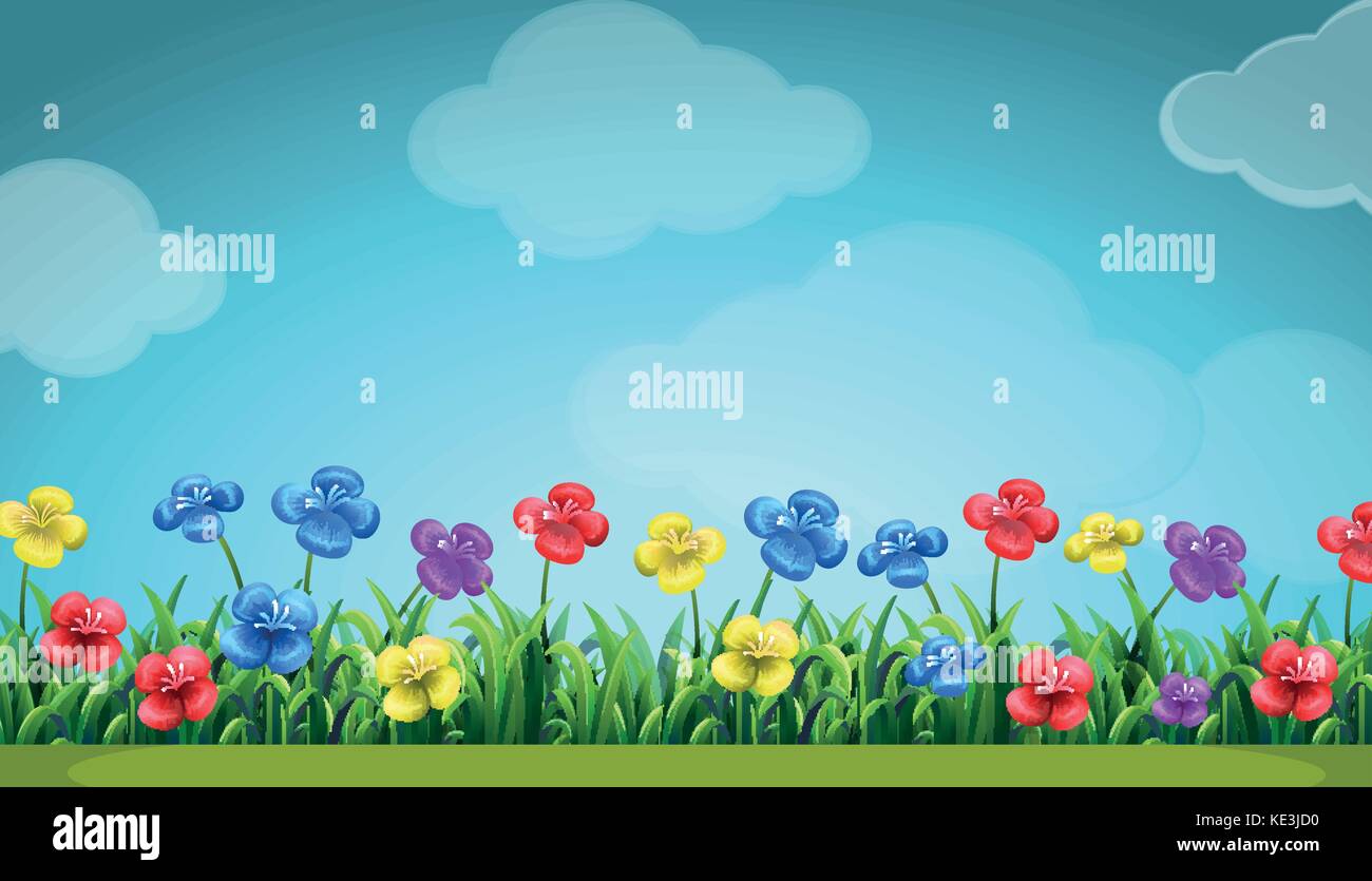 Scene with colorful flowers in the field illustration Stock Vector ...