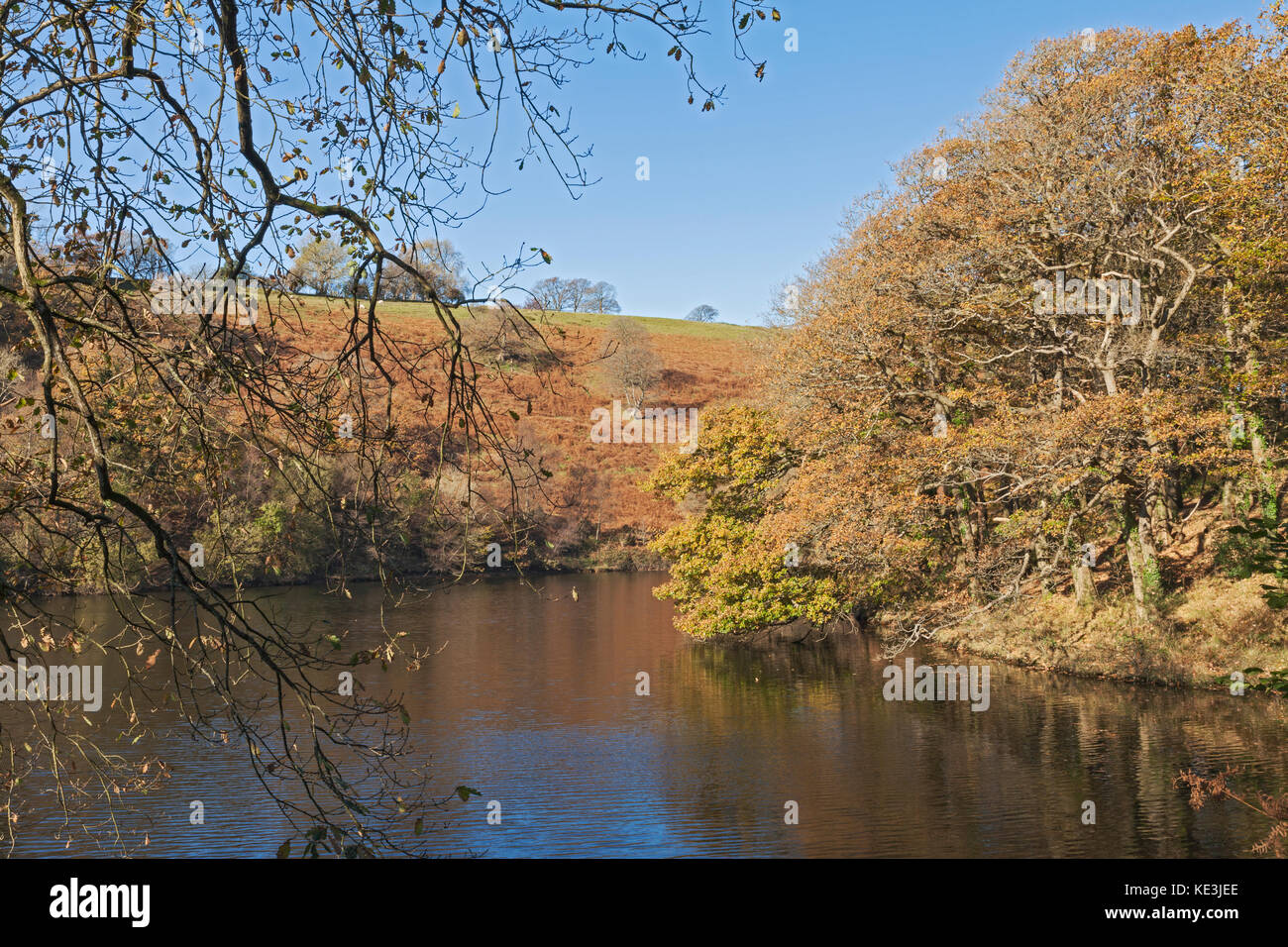 Felindre hi-res stock photography and images - Alamy