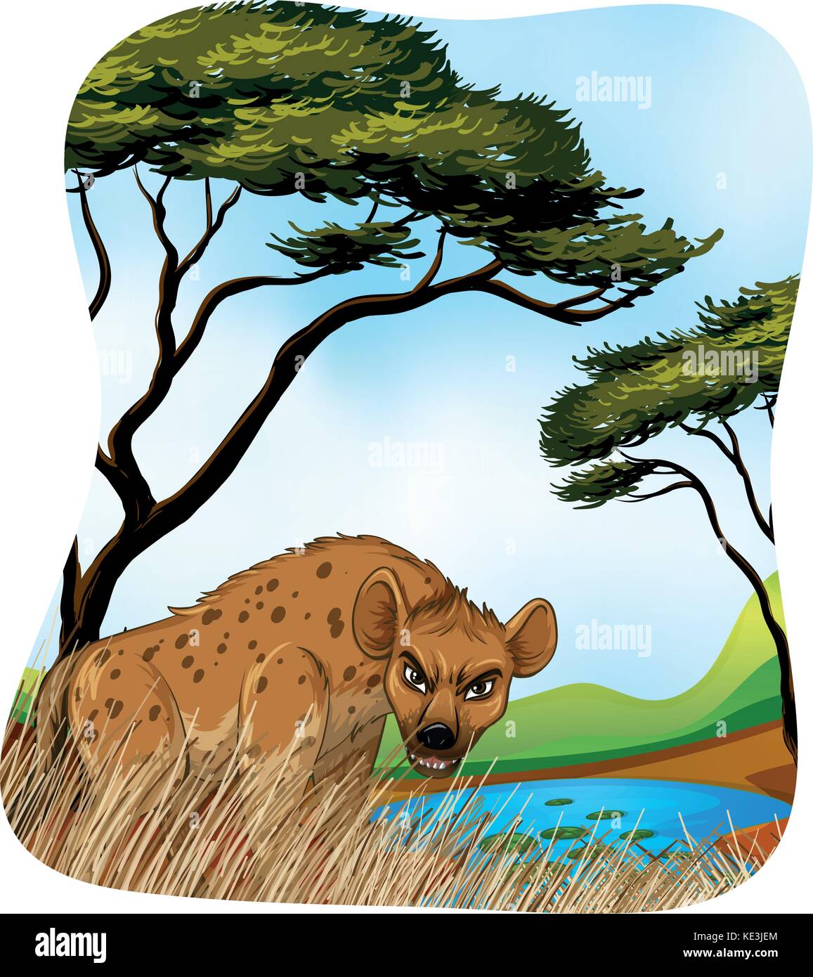 Angry hyena hi-res stock photography and images - Alamy