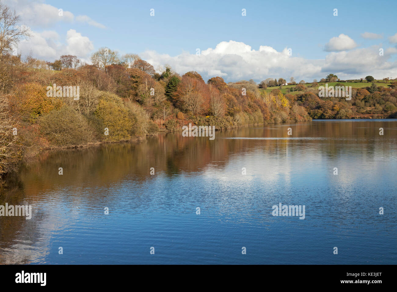 Felindre hi-res stock photography and images - Alamy