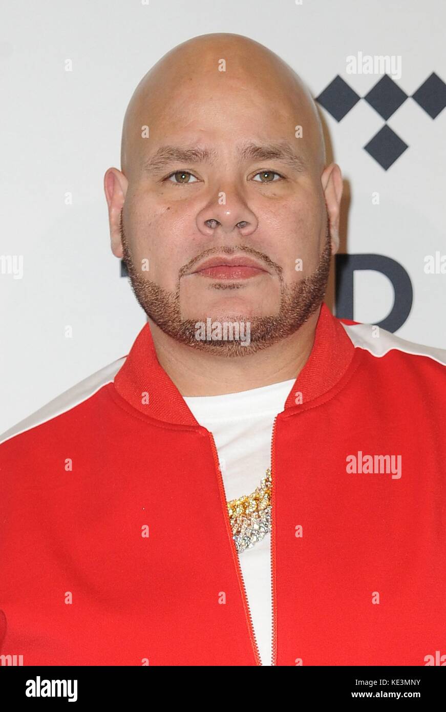 Brooklyn, NY, USA. 17th Oct, 2017. Fat Joe on stage for TIDAL X ...