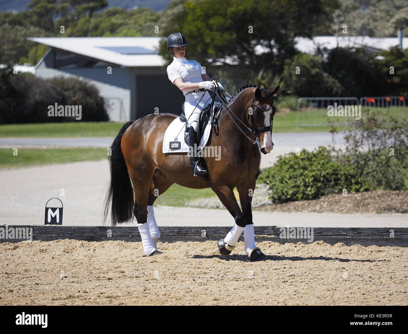 Emma booth hi-res stock photography and images - Alamy